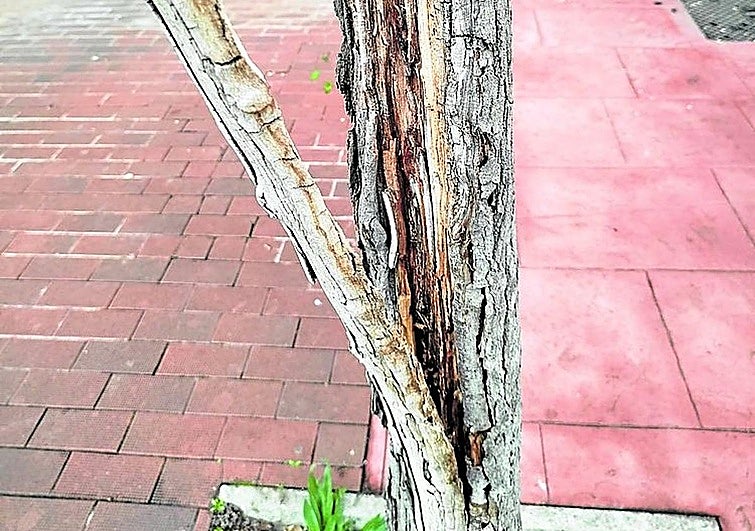 Los animales de compañía... en el Teléfono del lector de hoy | La Rioja