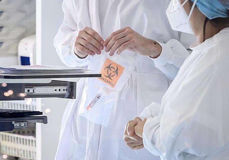 Eris, la nueva variante de coronavirus que se extiende rápidamente ...