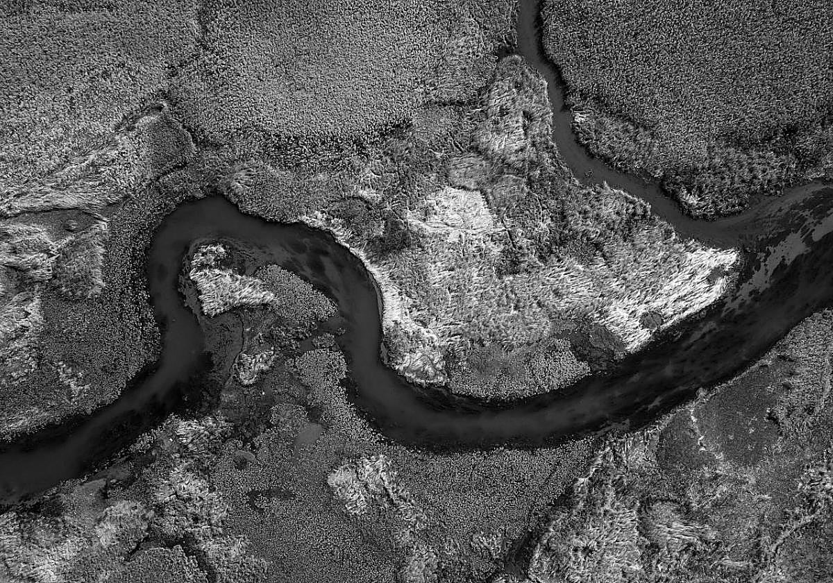 José Rutulio Domingo Monforte: Vita flumen | Las Provincias