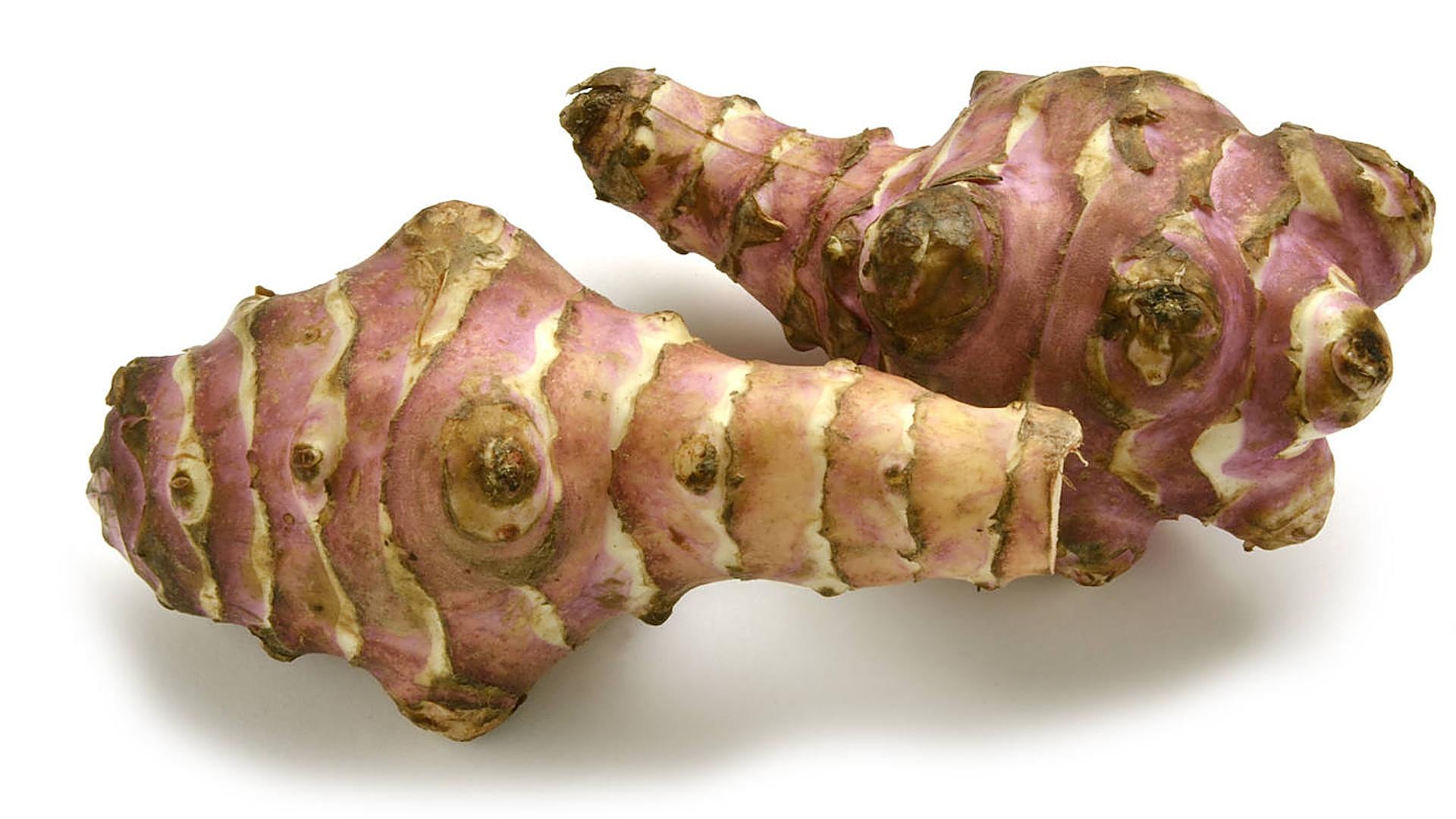 TOPINAMBO: alimento quemagrasas barriga | El superalimento con más ...