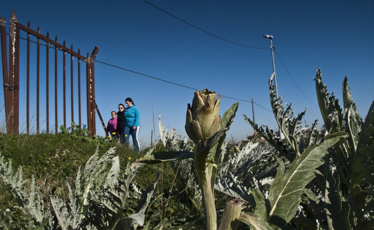 Frío en Valencia | Las heladas llegan al interior mientras la Comunitat ...