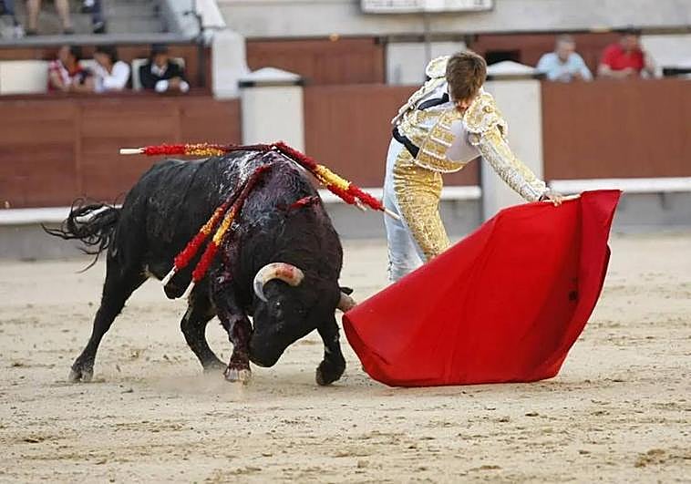 ': Mario Alcalde, el torero que se define como pansexual y quiere ...