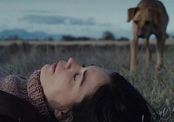 ¿Dónde se rodó la película 'Un amor', de Isabel Coixet? | Las Provincias