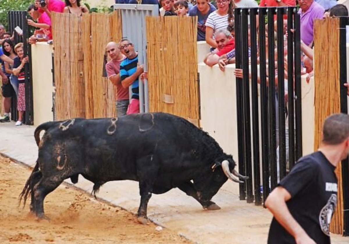 Un accidentado en los bous al carrer de Puçol | Las Provincias