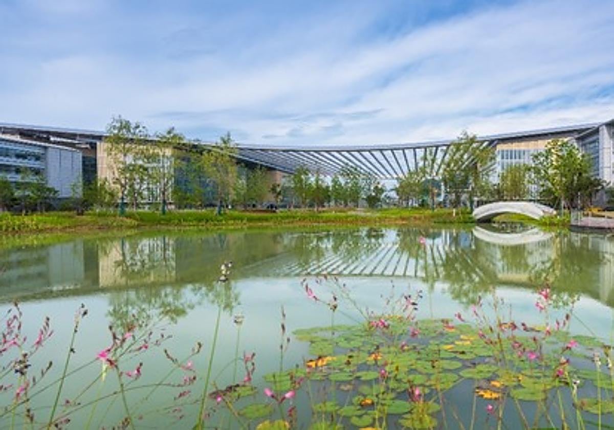Fotos: así será el campus de la UPV en China | Las Provincias