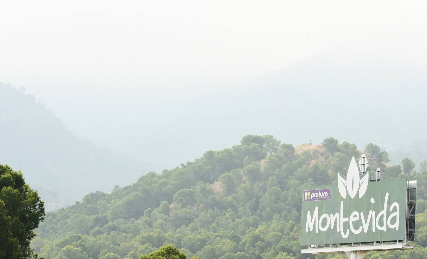 La urbanización de Montevida incluye una salida directa desde la ...