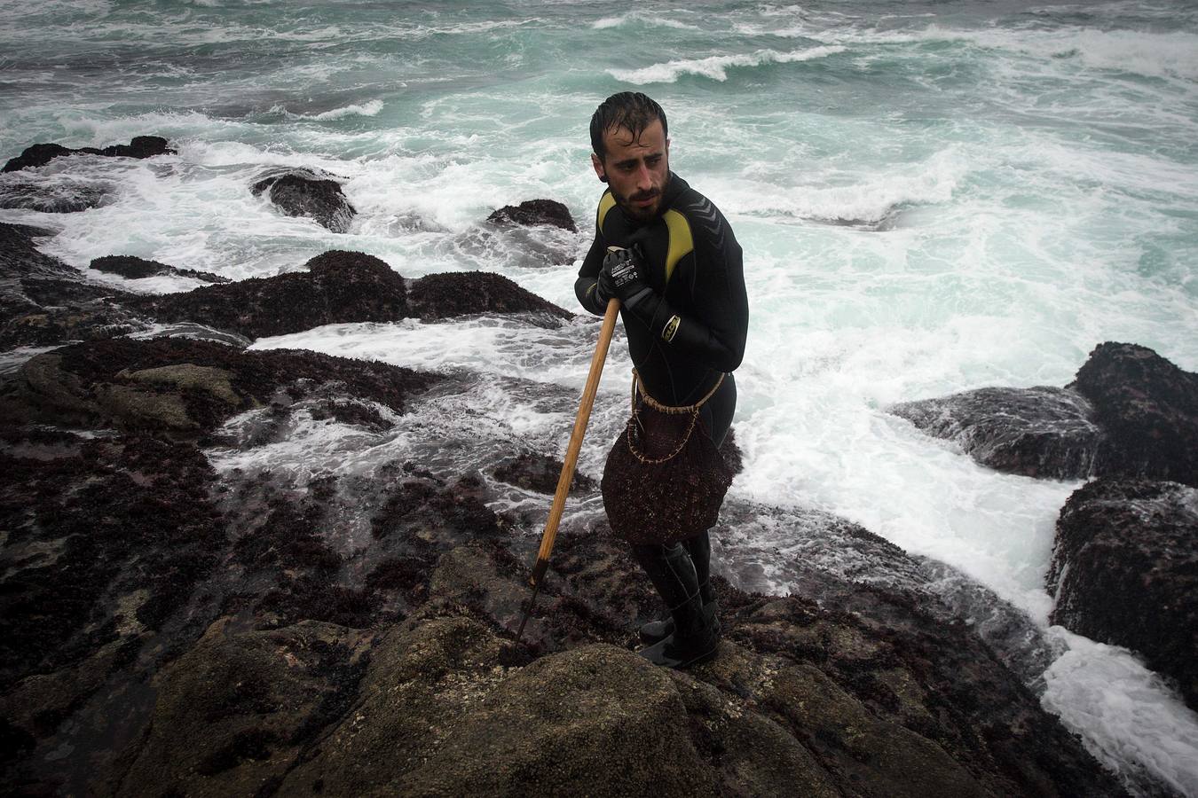Fotos: Guerreros percebeiros | La Verdad