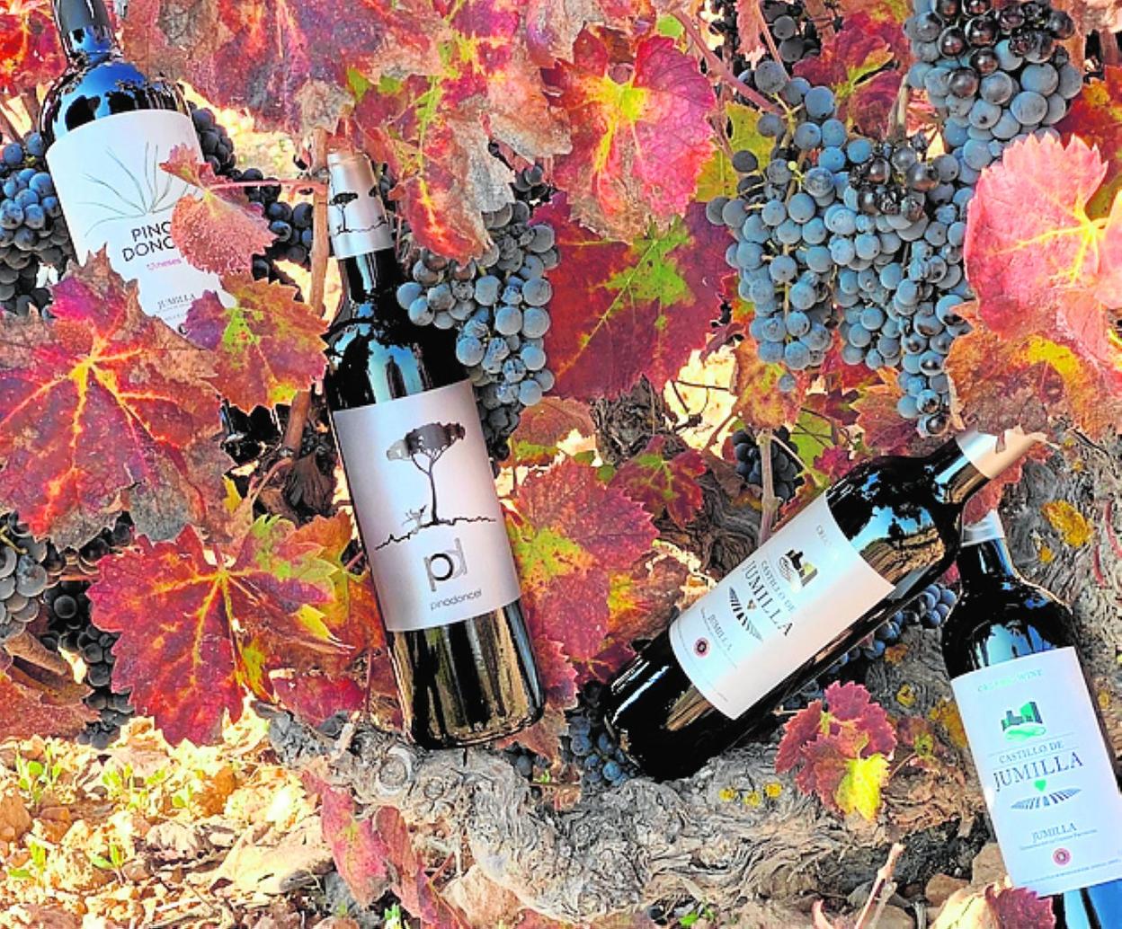 Bodegas Bleda, la personalidad llevada a los vinos de Jumilla | La Verdad
