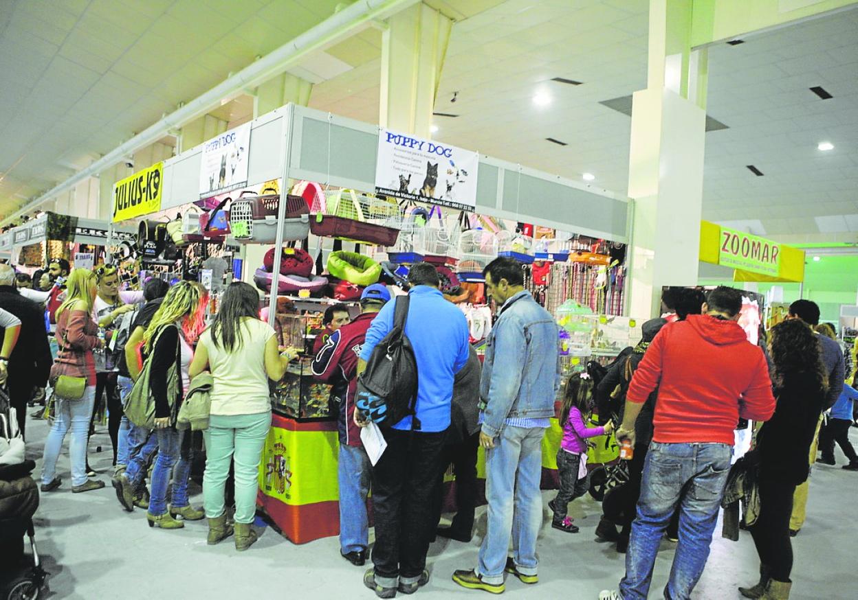 Grandes expectativas en el regreso de la Exposición Internacional ...