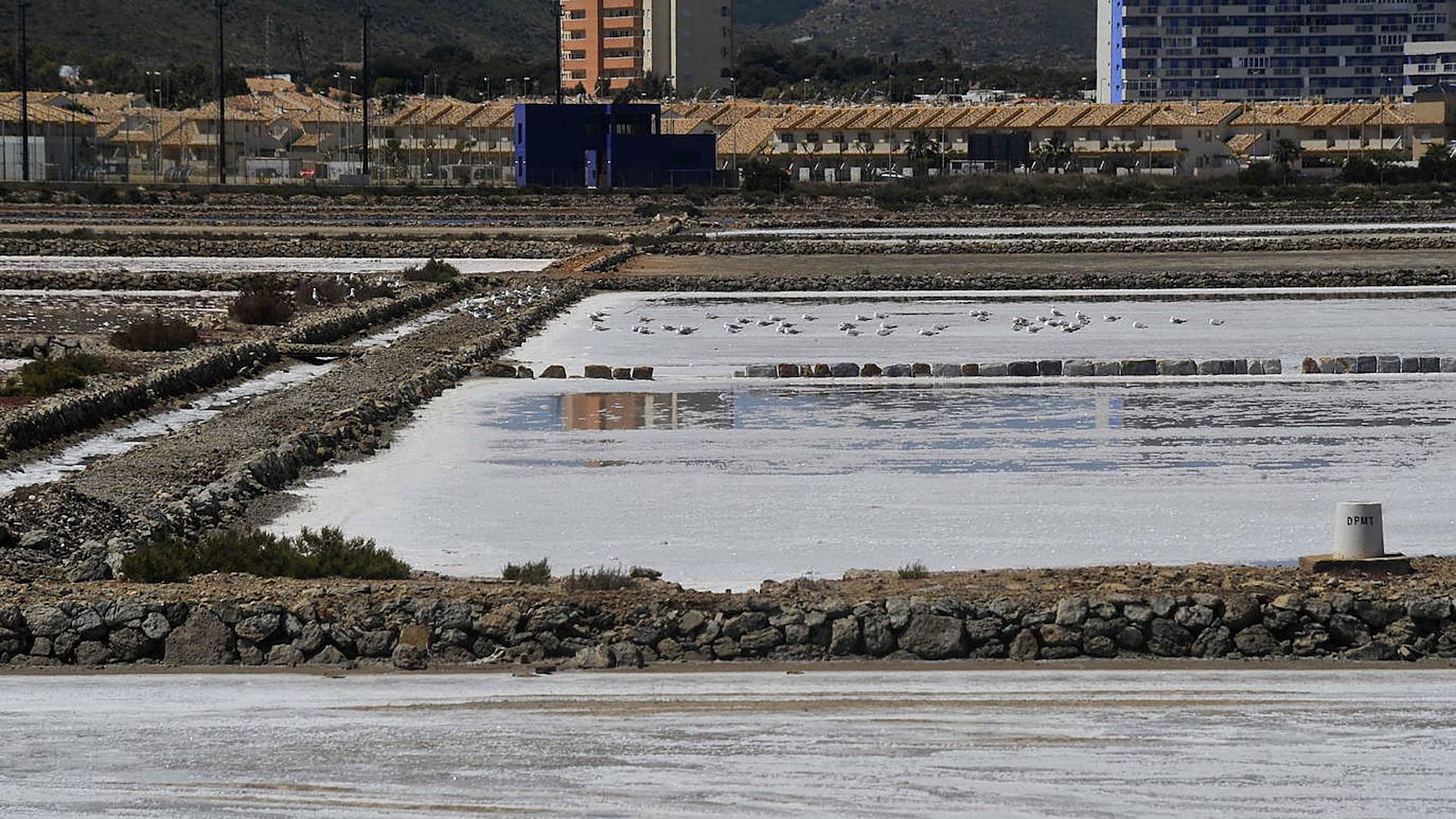 Las Salinas de Marchamalo, declaradas BIC con categoría de sitio ...