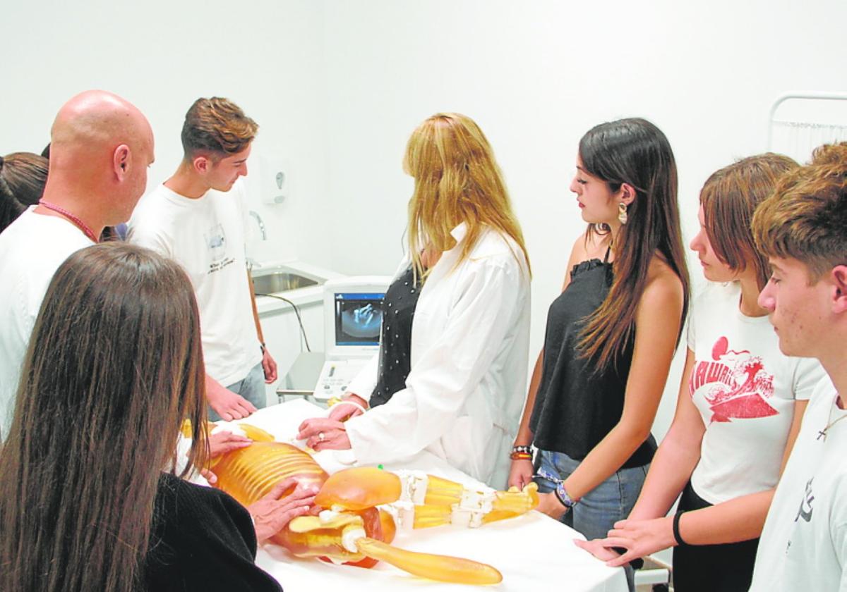 The Degree In Veterinary Medicine Begins Its Classes Pledge Times the-degree-in-veterinary-medicine-begins-its-classes-pledge-times