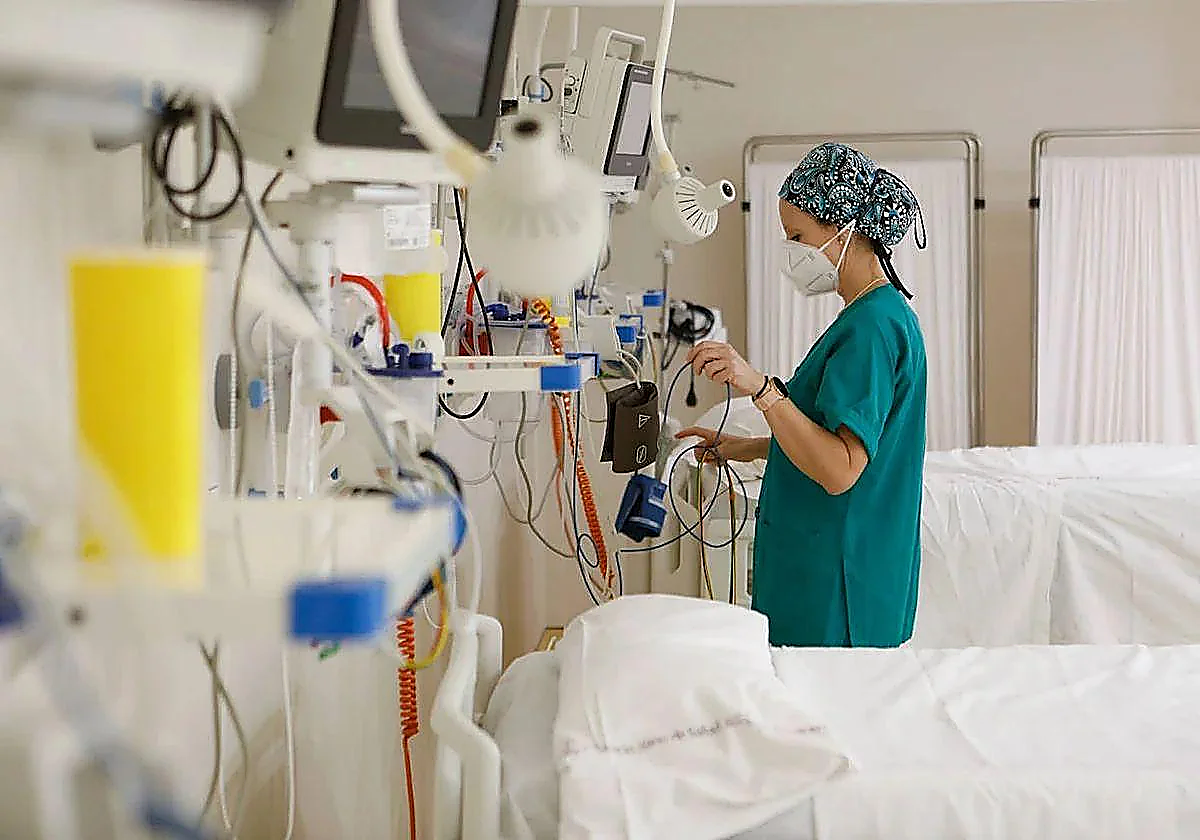 Estas son las becas y ayudas convocadas por el Colegio de Médicos de la ...