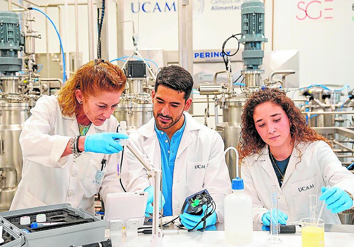 La UCAM abre la matrícula en sus campus de Murcia, Cartagena y Madrid ...
