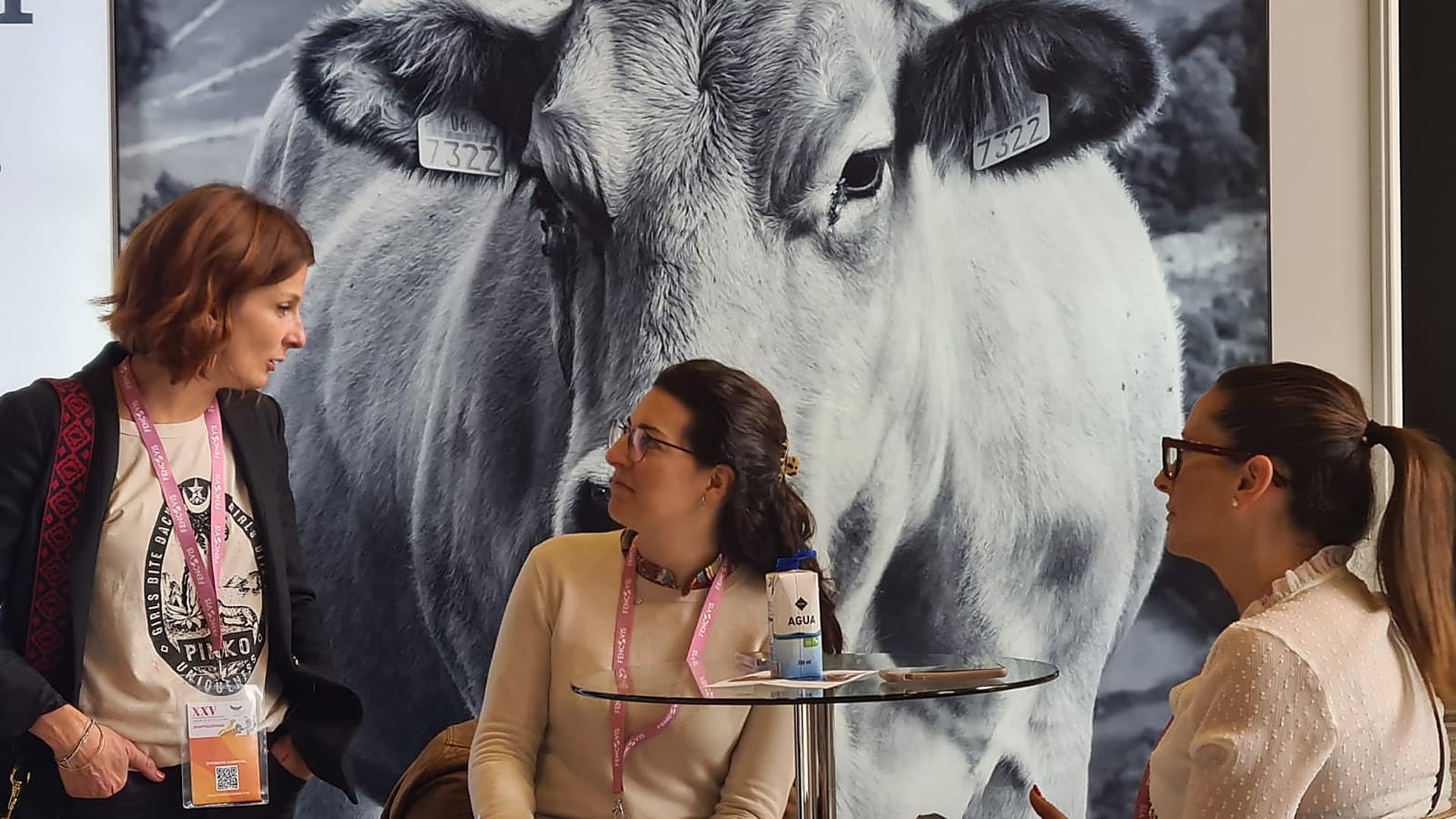 Un millar de personas analizan en León el futuro del bovino y la falta ...