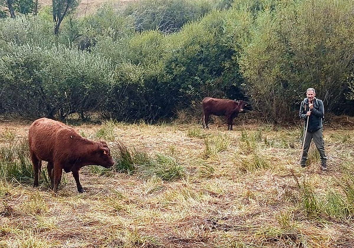 El último afectado por los incendios en León: «Tienen envidia y nos dan palos por todos lados ...