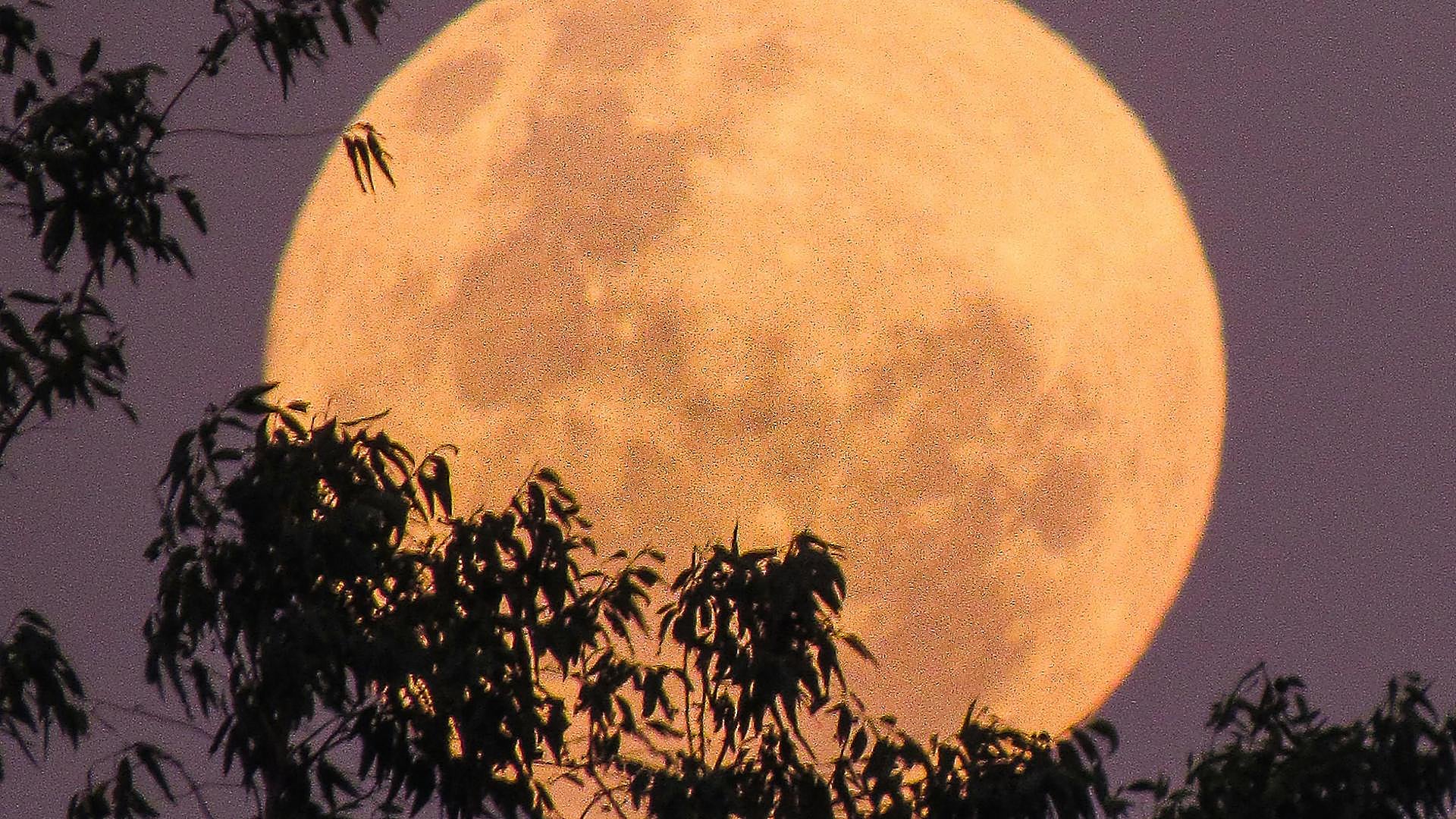 Rituales para el eclipse total de Luna del 7 de septiembre: cómo te ...