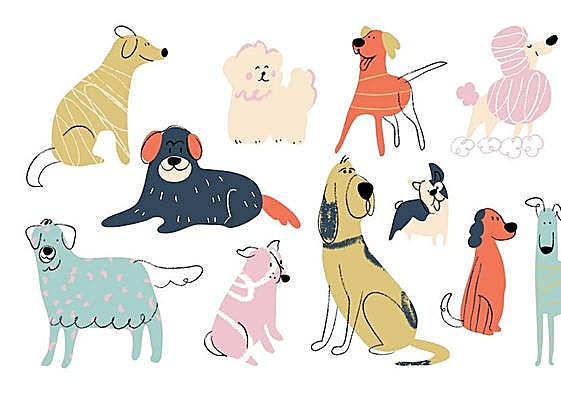 Diccionario para 'entender' a tu perro | El Correo