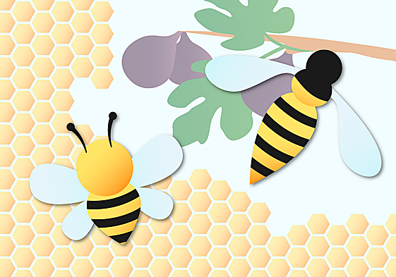 Avispas y abejas: guía para conocer sus principales diferencias | El Correo