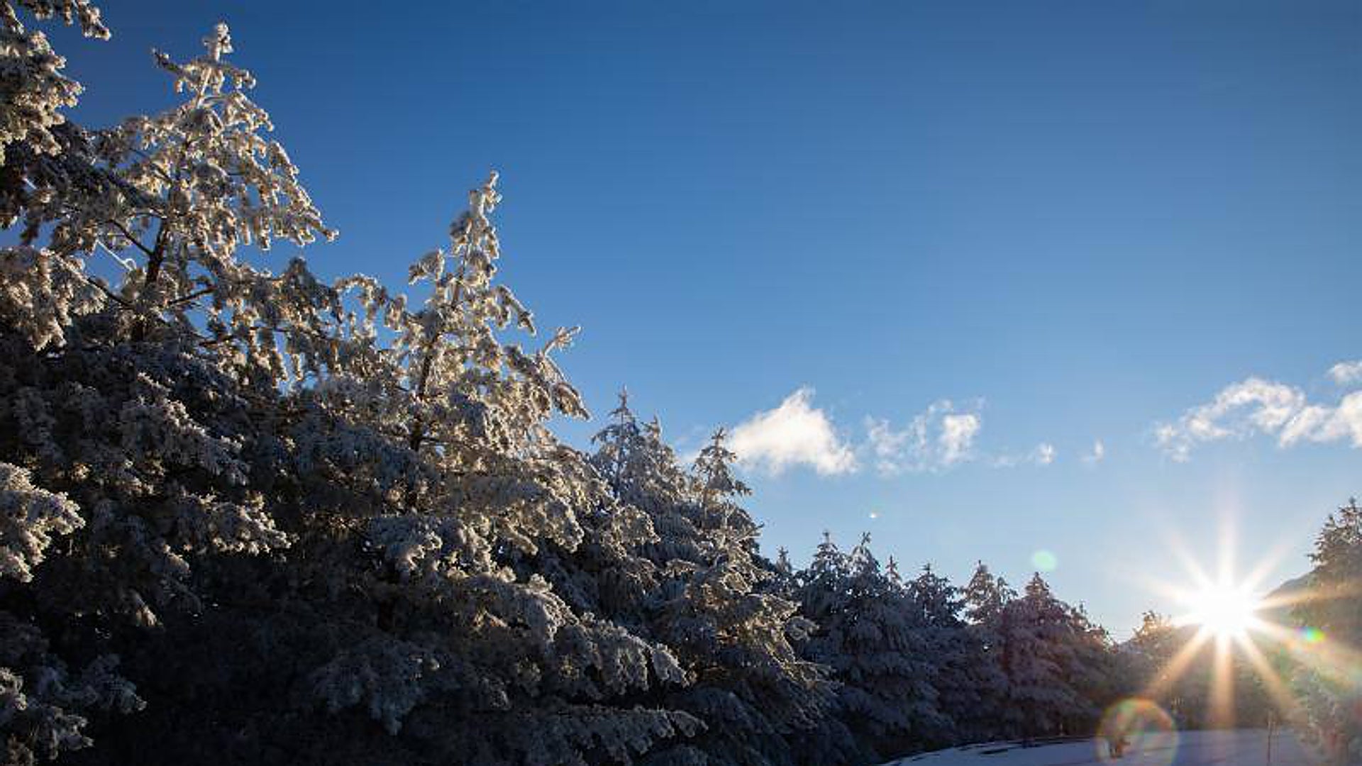 La DGT explica qué significan los cuatro colores de la nieve | El Correo