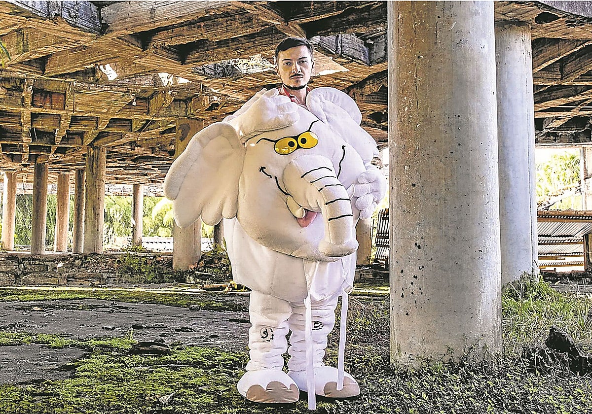 Un elefante se cuela en el Senado de Colombia | La Rioja
