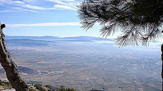 Noticias de Albacete - La Verdad