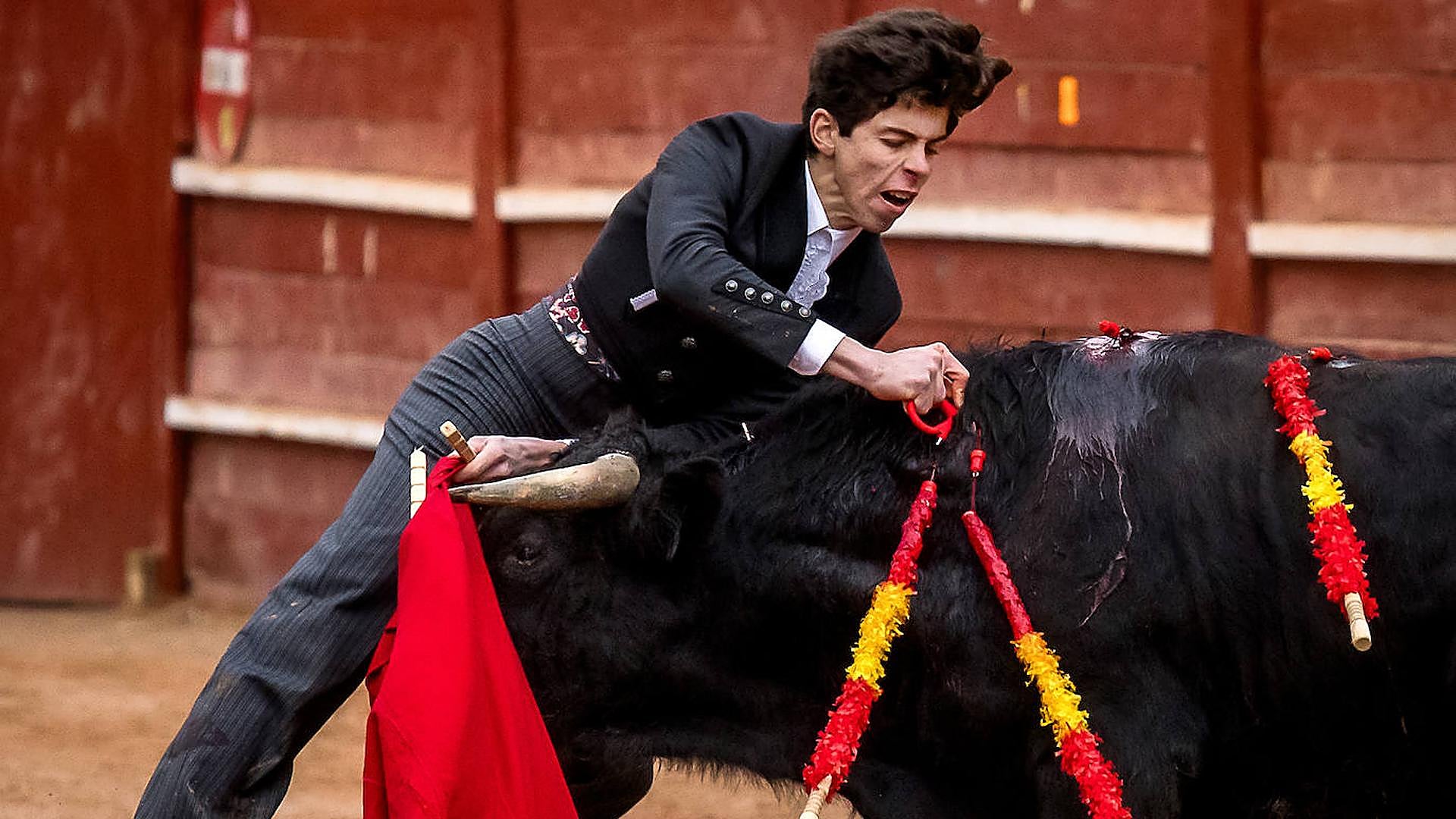 El novillero Julio Méndez, corneado en la novillada del Carnaval de ...