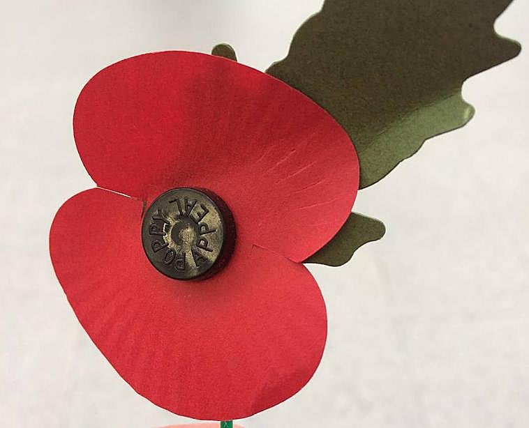 Royal British Legion annual Poppy Appeal on the Costa del Sol gets ...