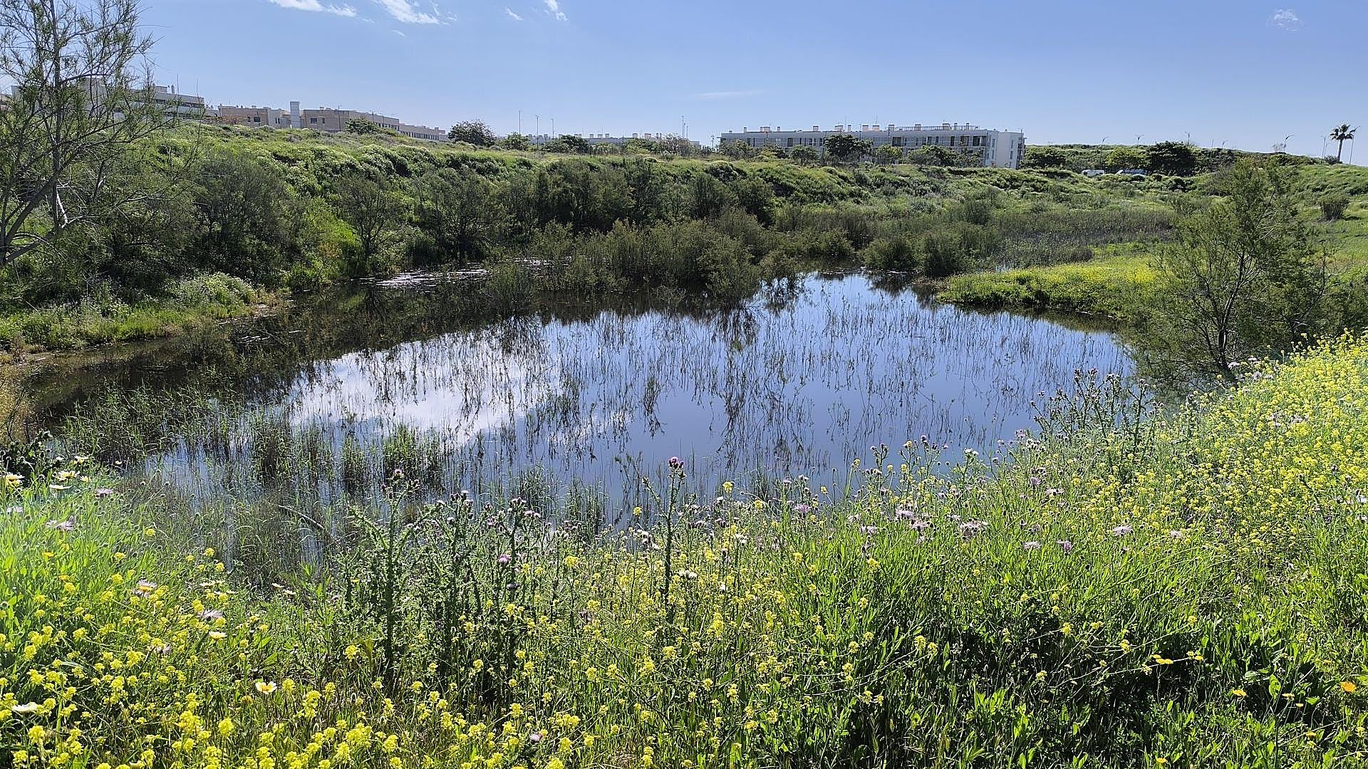Soliva lake: the ecological oasis in Malaga born from a failed clay ...