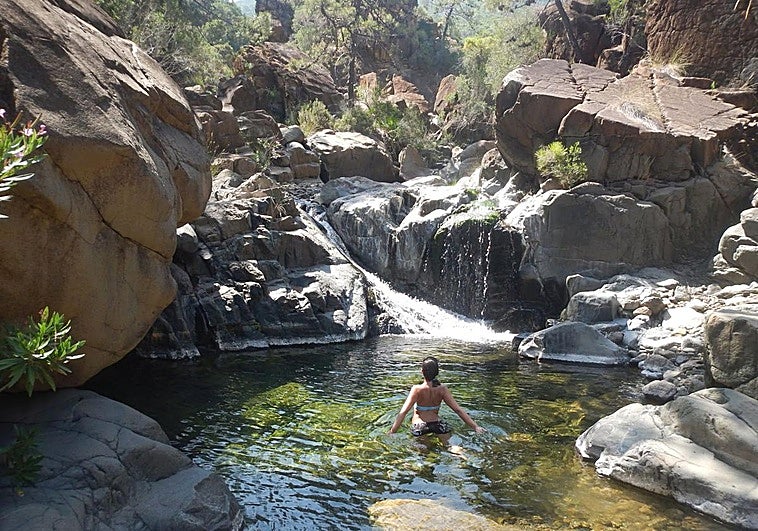 Seven things to see and do in Estepona on the Costa del Sol this summer ...