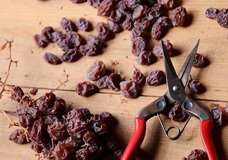 Seven little-known facts about Malaga's famous Muscatel raisins | Sur ...
