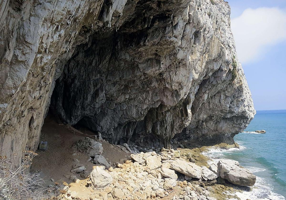 International art exhibition celebrates Gibraltar's Gorham's Cave ...