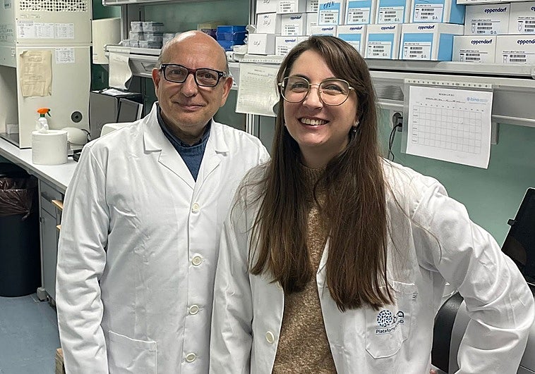 Malaga researchers develop biological switch that can stop binge eating ...