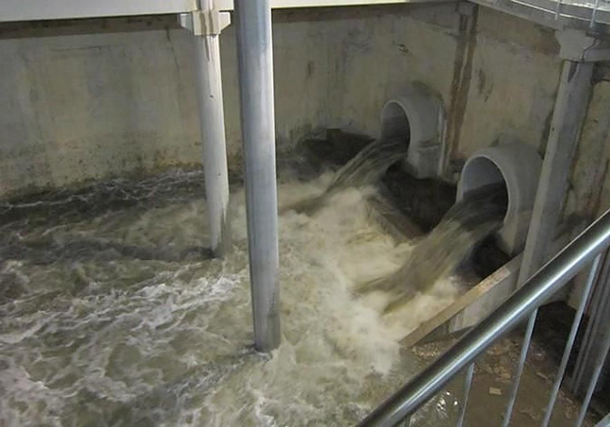 Elche Approves Construction of Storm Tank in Arenales del Sol to ...