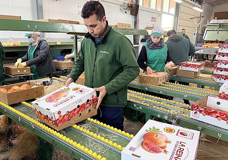 La granada mollar de Elche viaja por Europa y España para emocionar en ...