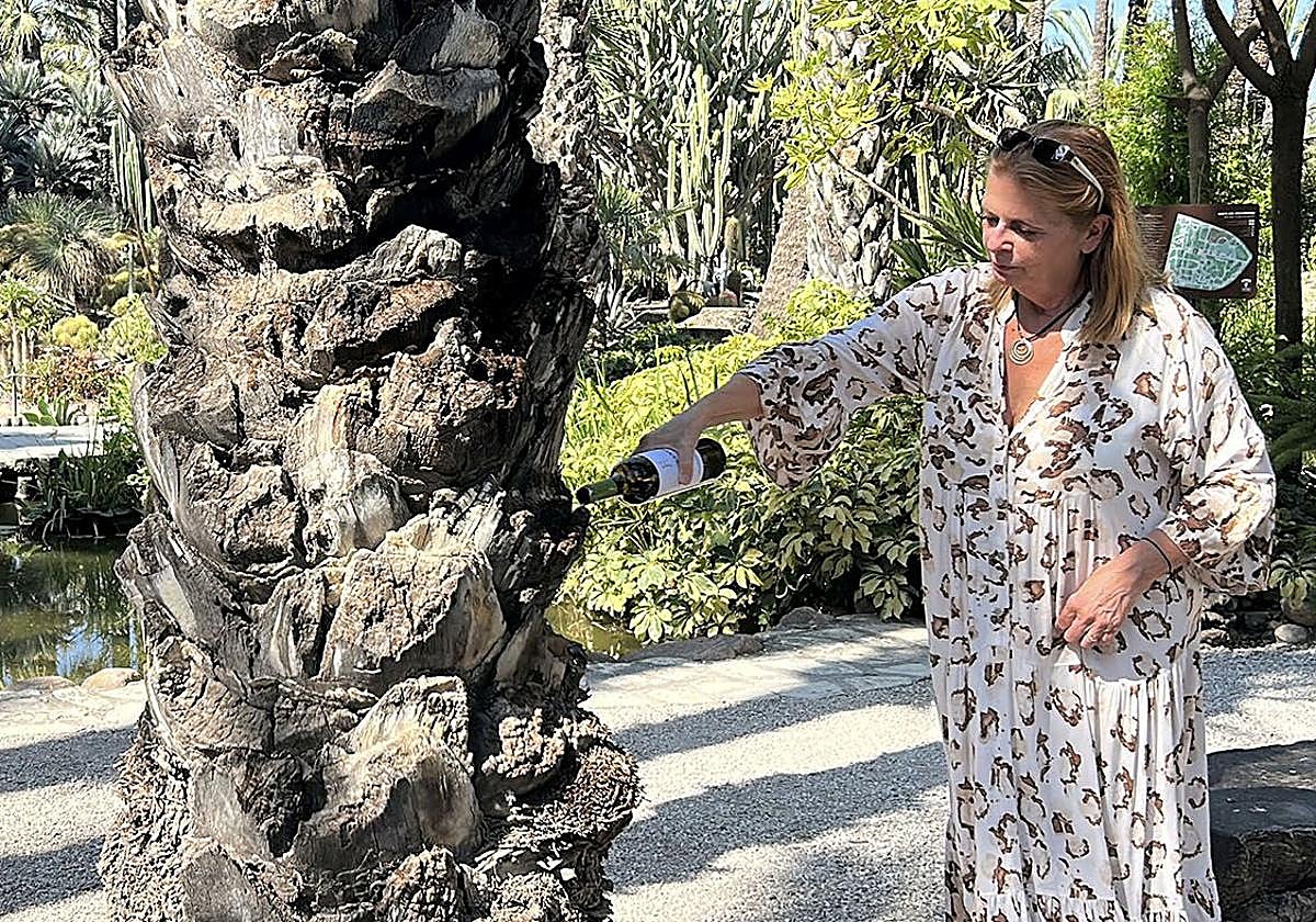 The Huerto del Cura Restores the Palm Tree Dedicated to Archduke Luis ...